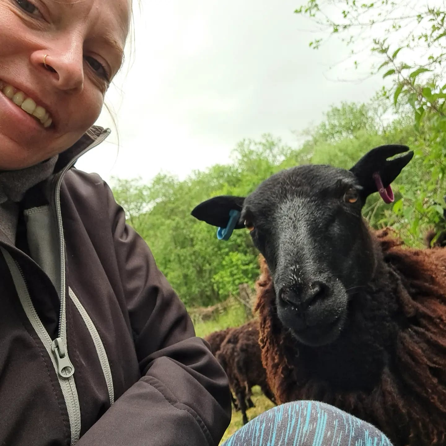 About Me – Annabelle Griffiths Counselling