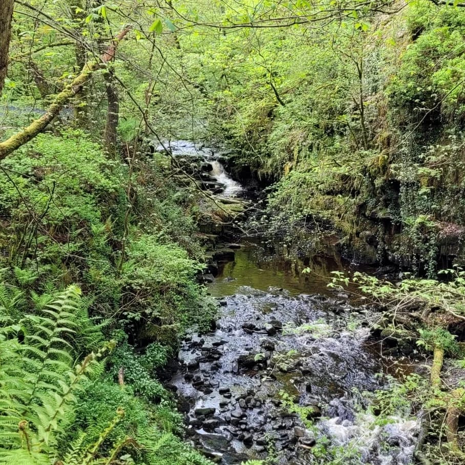 Walk and Talk Counselling – Annabelle Griffiths Counselling