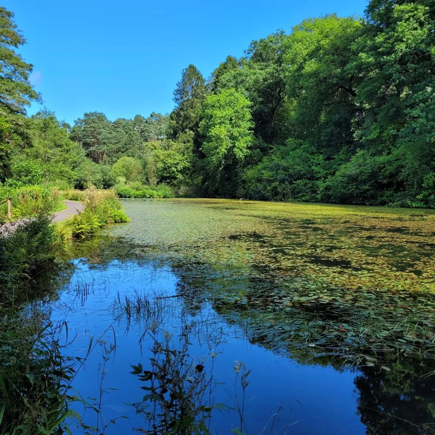 Walk and Talk Counselling – Annabelle Griffiths Counselling